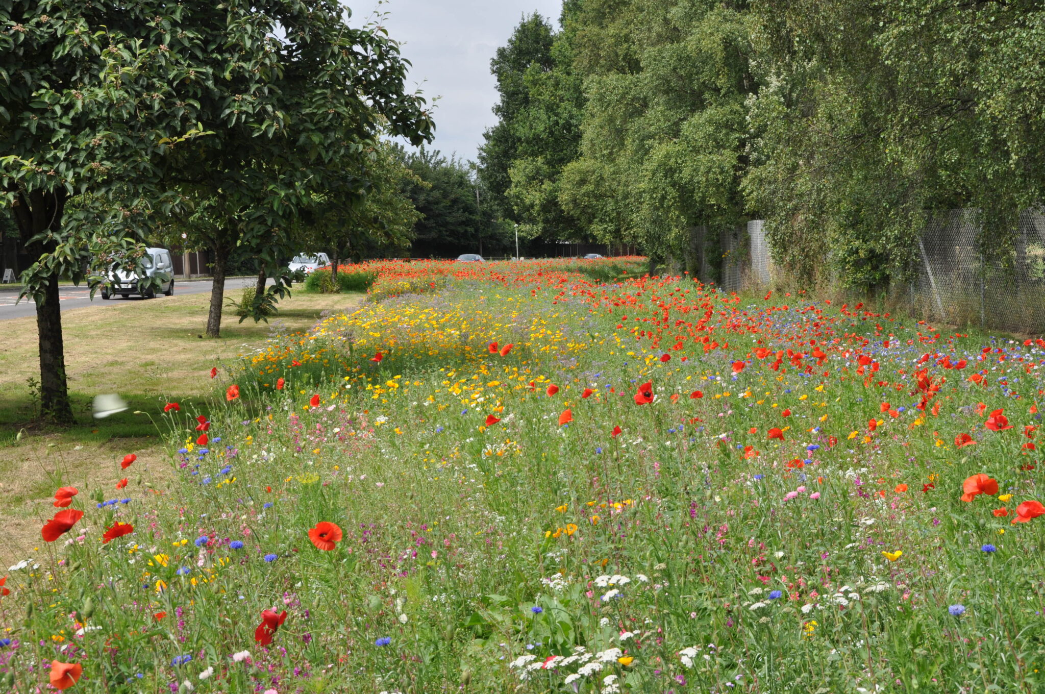 The benefits of ‘Urban Greening’ schemes | GreenKeeping Magazine